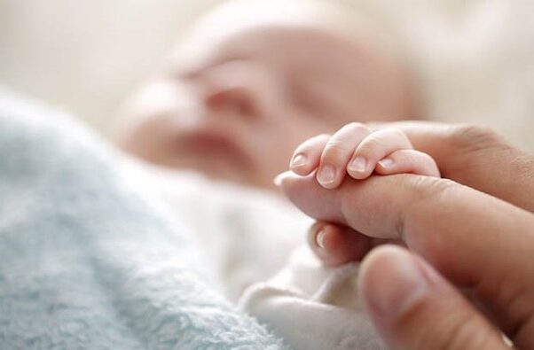 Maxeed Sachet - Optimizes Male Fertility