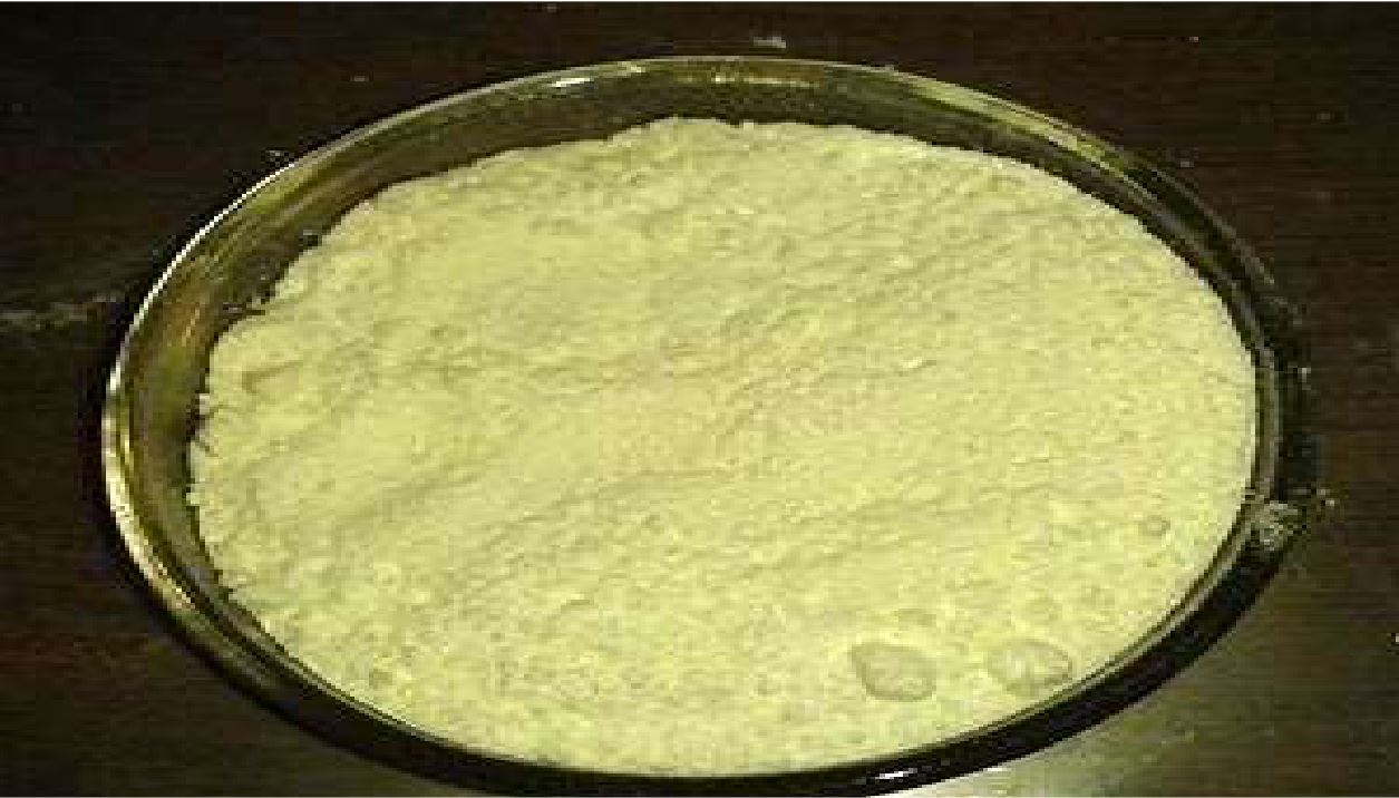 Maxeed Sachet - Optimizes Male Fertility