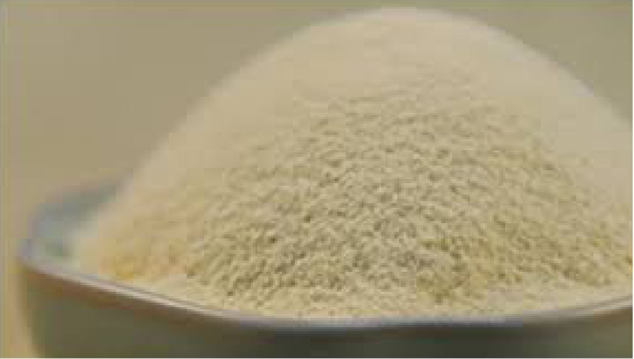 Maxeed Sachet - Optimizes Male Fertility